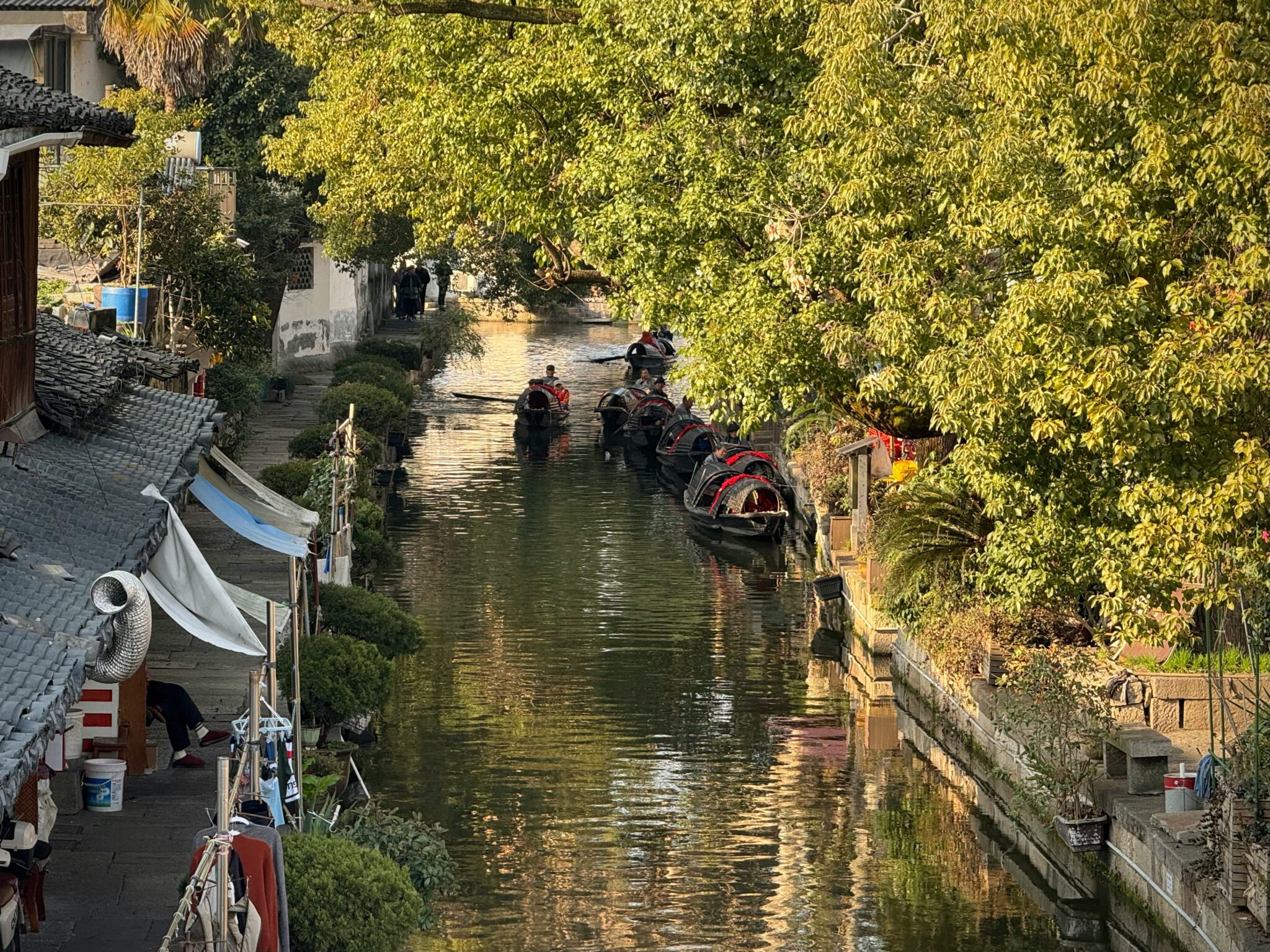 Jiangnan Journey: 5 of China’s most romantic water towns – A Thousand ...