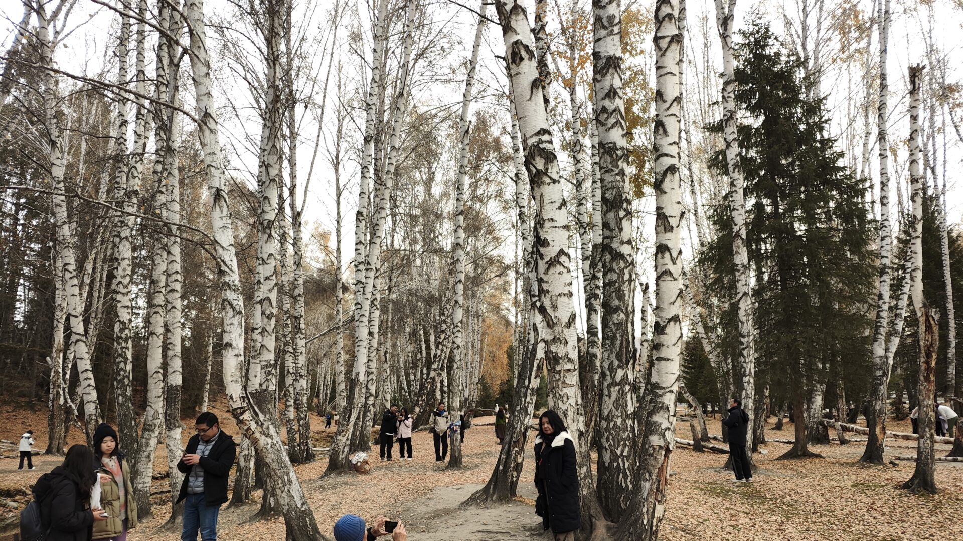 The Top 5 Natural Wonders of Northern Xinjiang – A Thousand Miles Journey