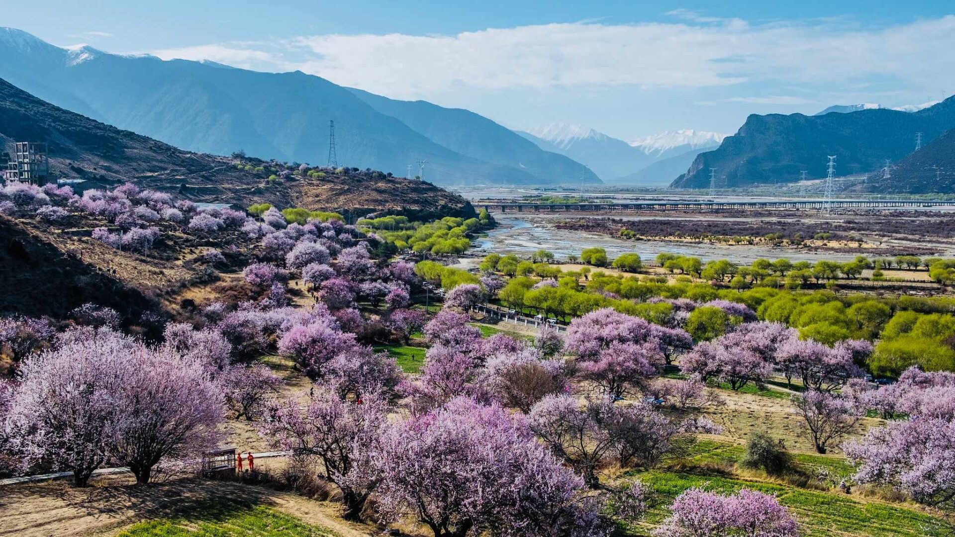 9 Must-See Spring Flowers in China – A Thousand Miles Journey